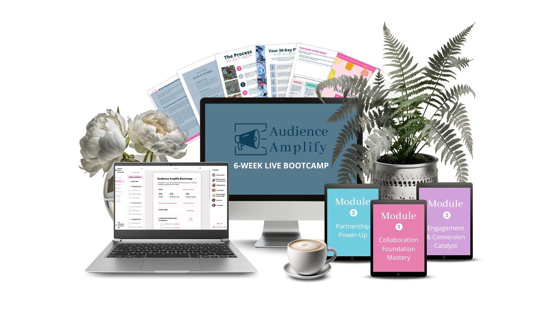 Program Comparisons - Hustle & Groove